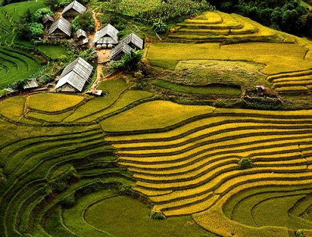 Sapa – Laochai – TaVan – Giang Ta Chai – Cocly Market Tour